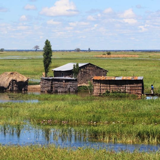 A resilient Zambezi river basin for people and nature - DOB Ecology