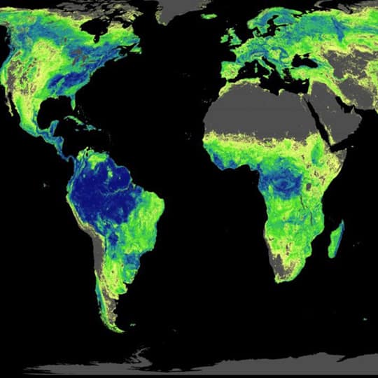 Scientific research for better restoration - DOB Ecology