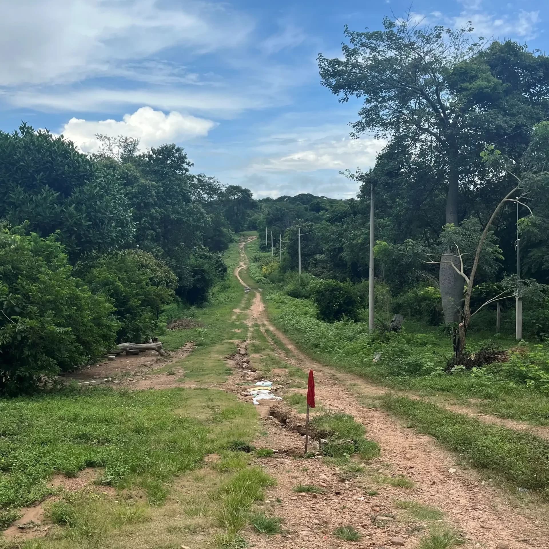 Biodiversity Bridges - DOB Ecology