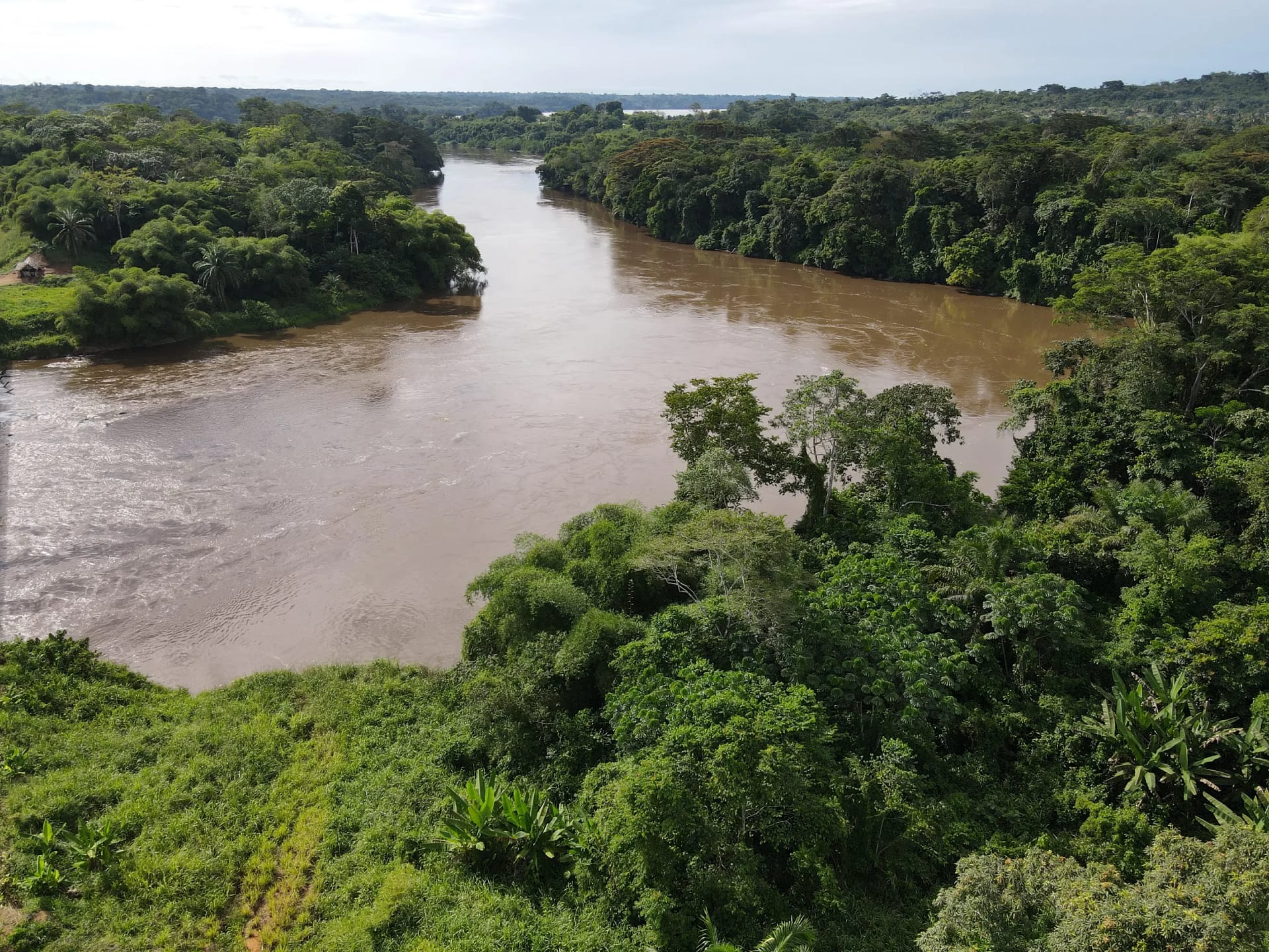 Biodiversity Bridges - DOB Ecology
